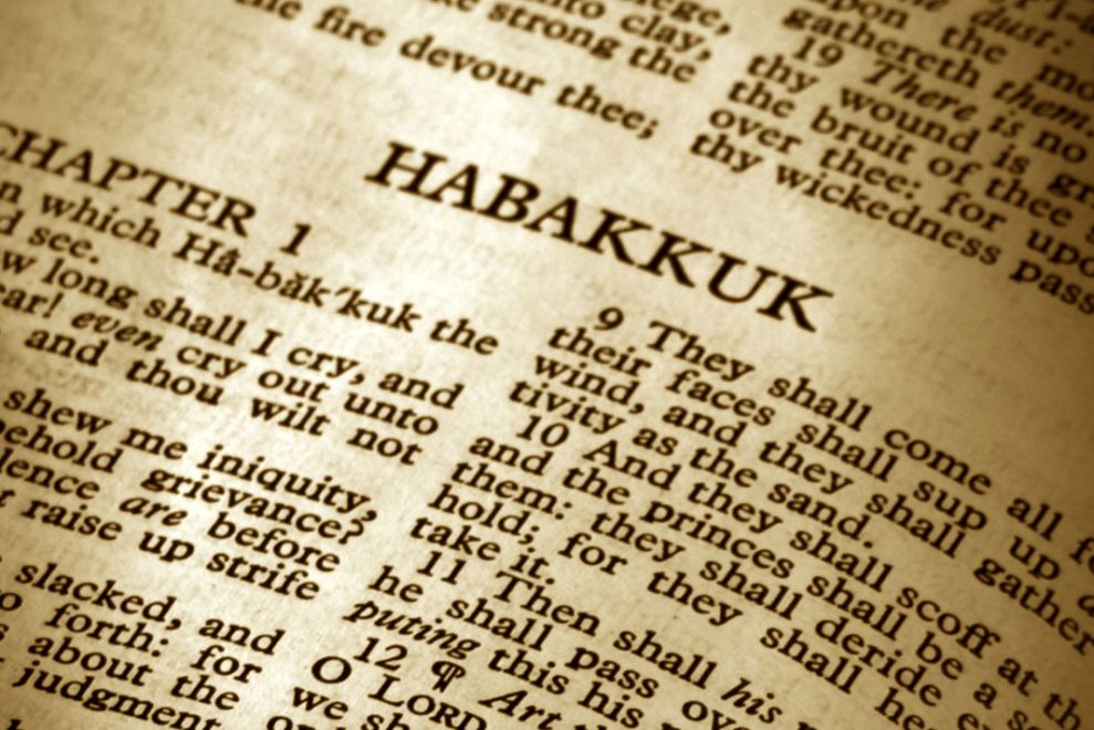 Reflections on Habakkuk - Levaire